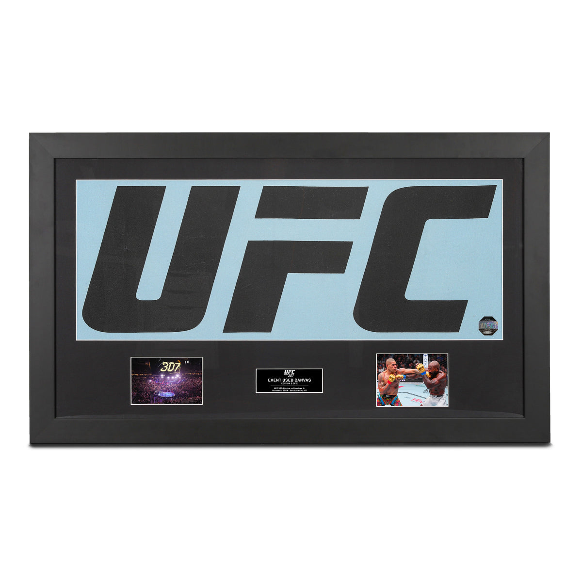 UFC Logo Canvas & Photo