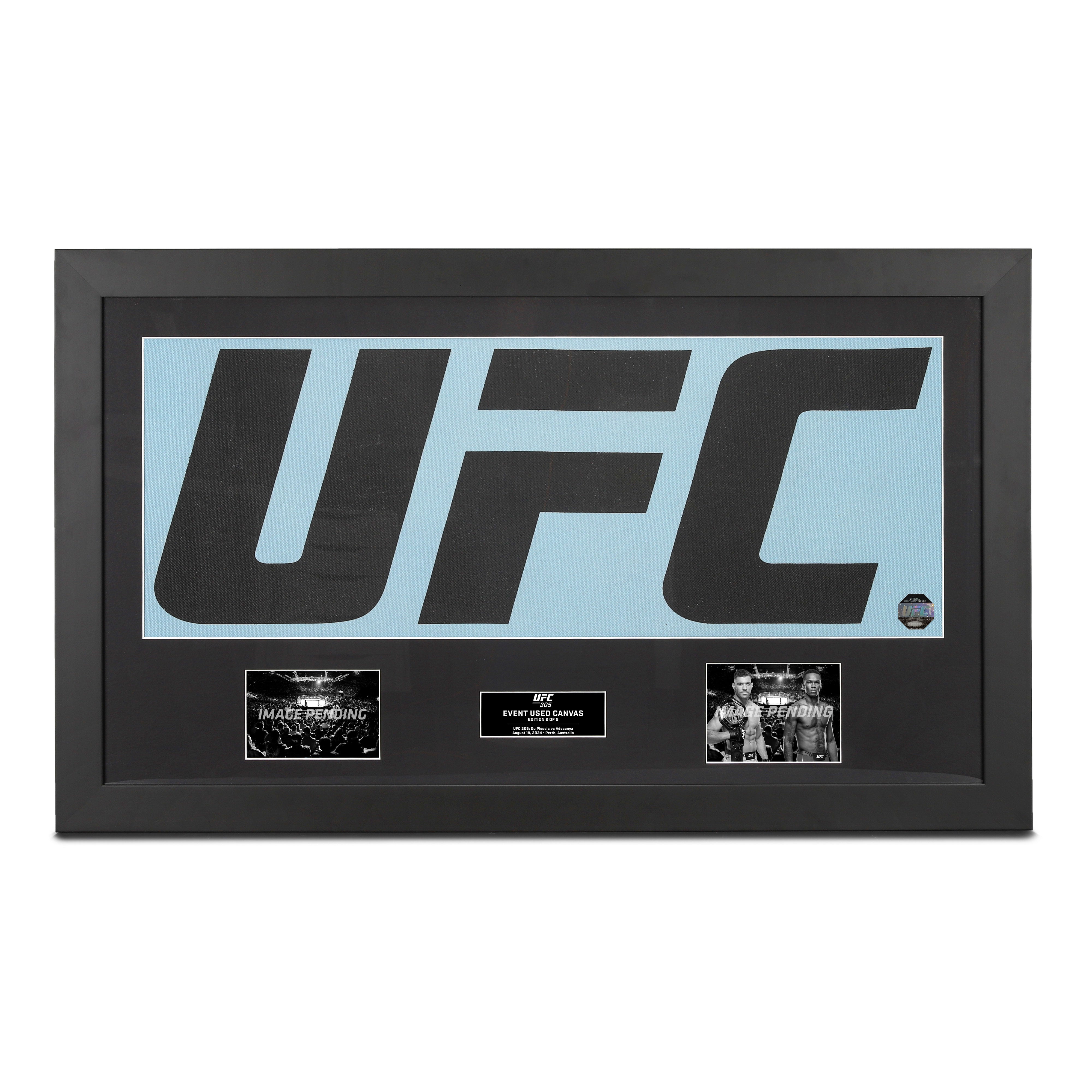UFC Logo Canvas & Photo
