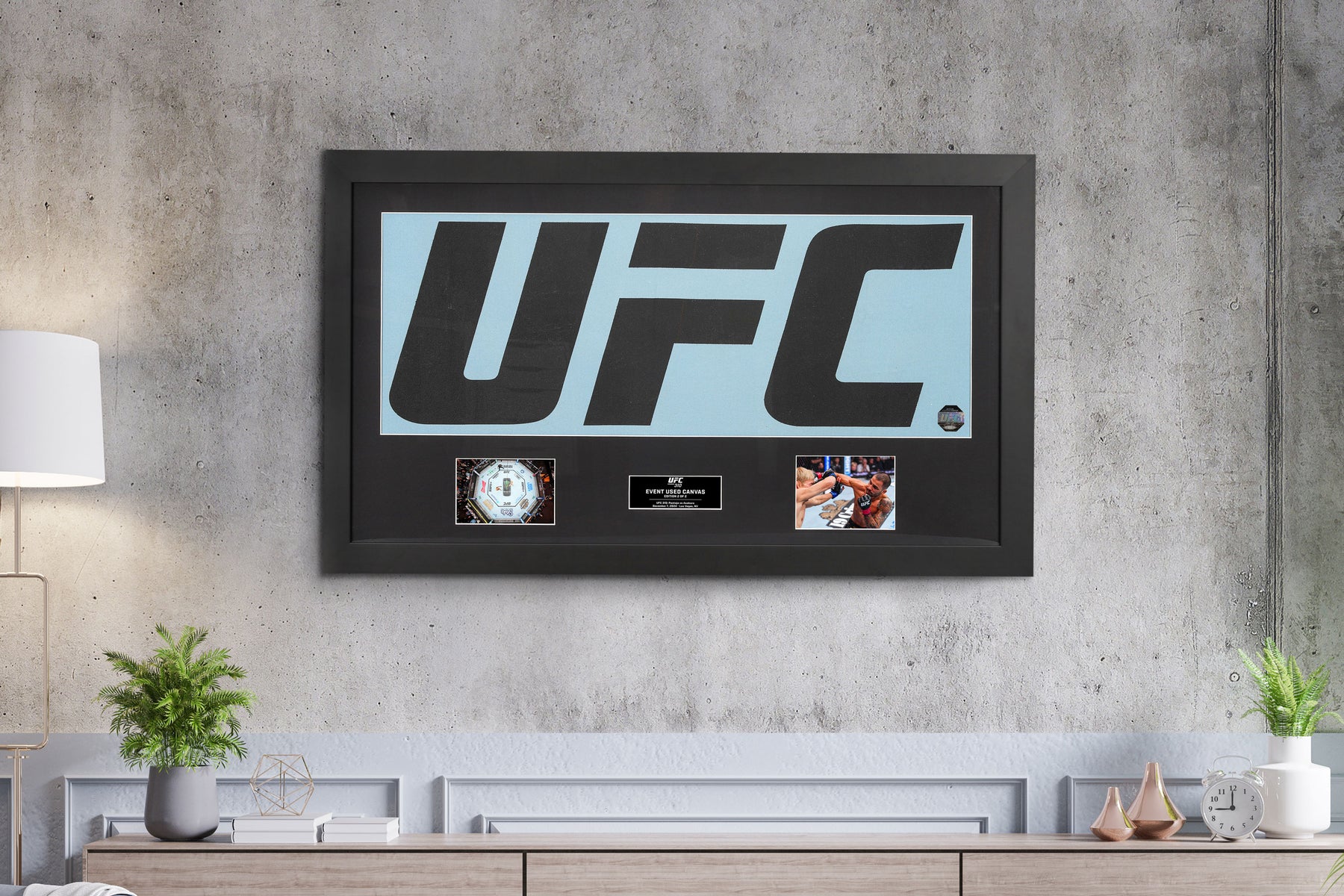 Framed UFC Logos Cut from Real Octagon Canvases | UFC Collectibles