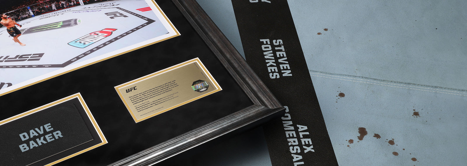 Name on Canvas UFC Memorabilia | UFC Collectibles