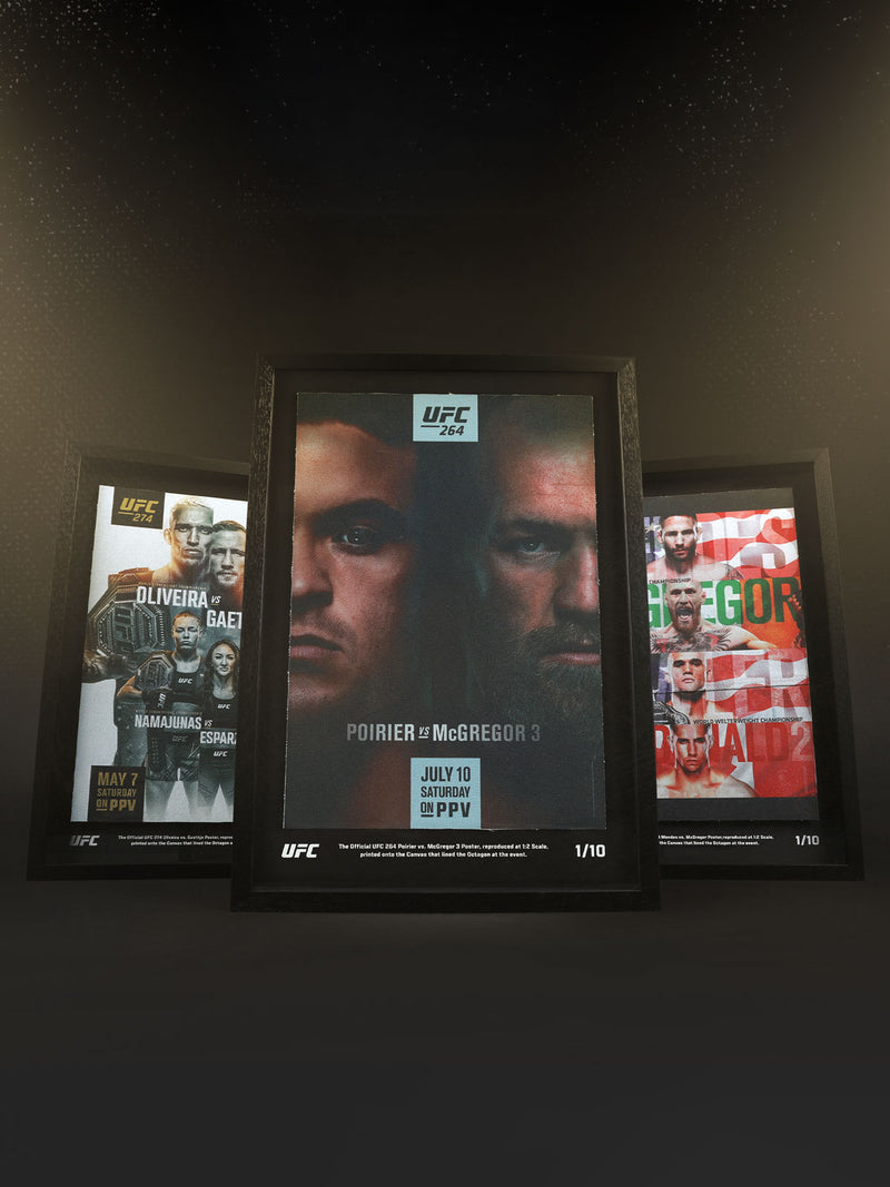 UFC Canvas Posters