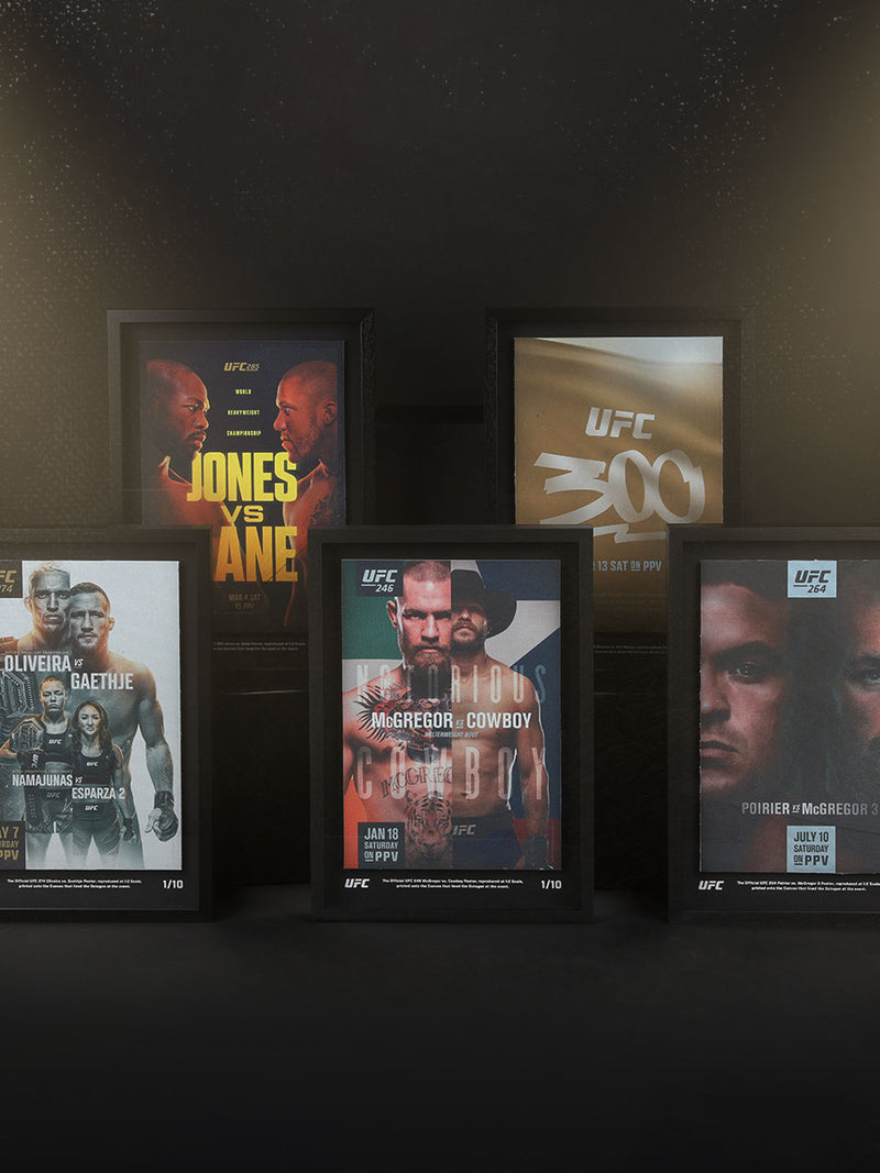 UFC Canvas Posters