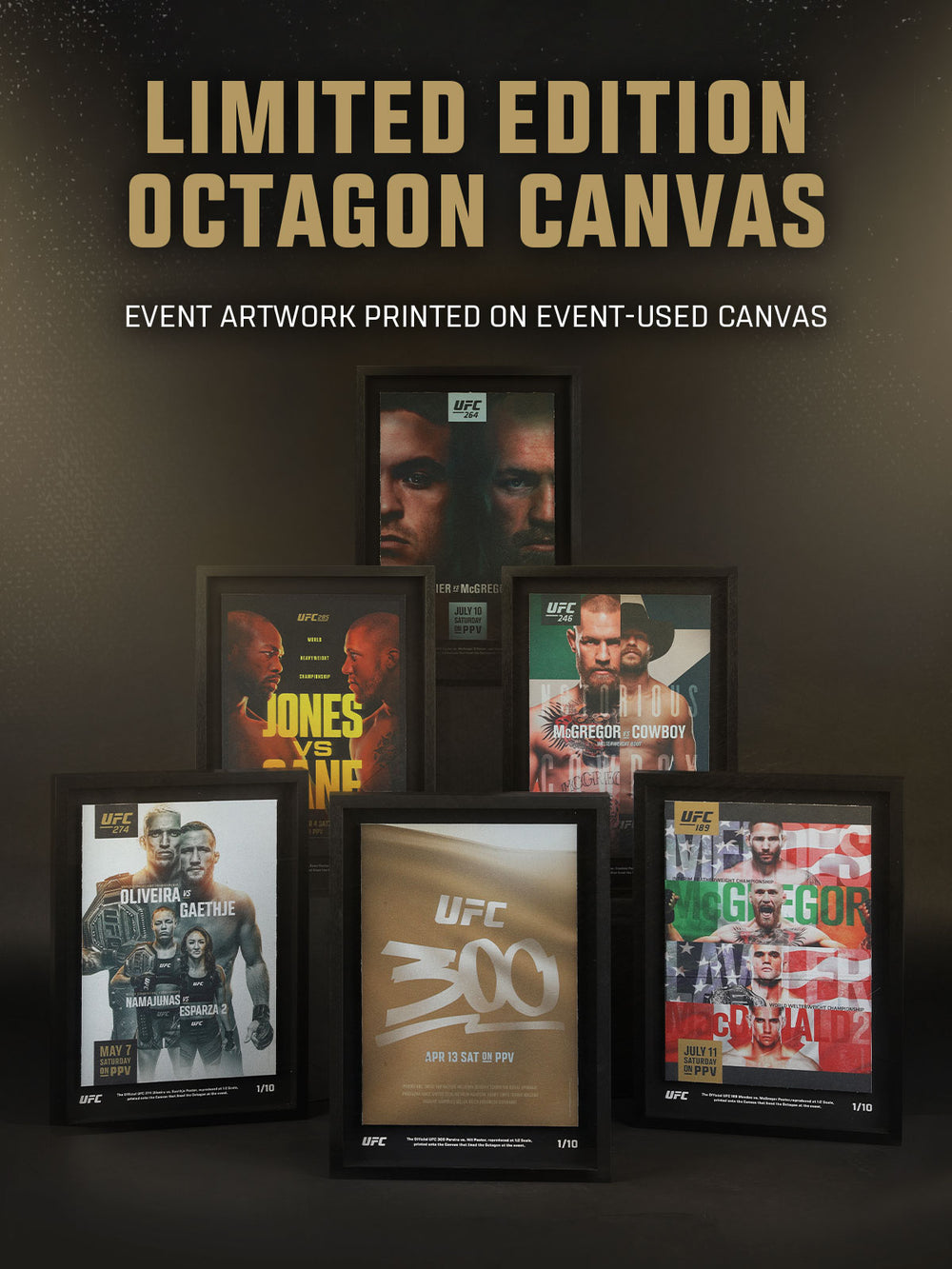 UFC Canvas Posters