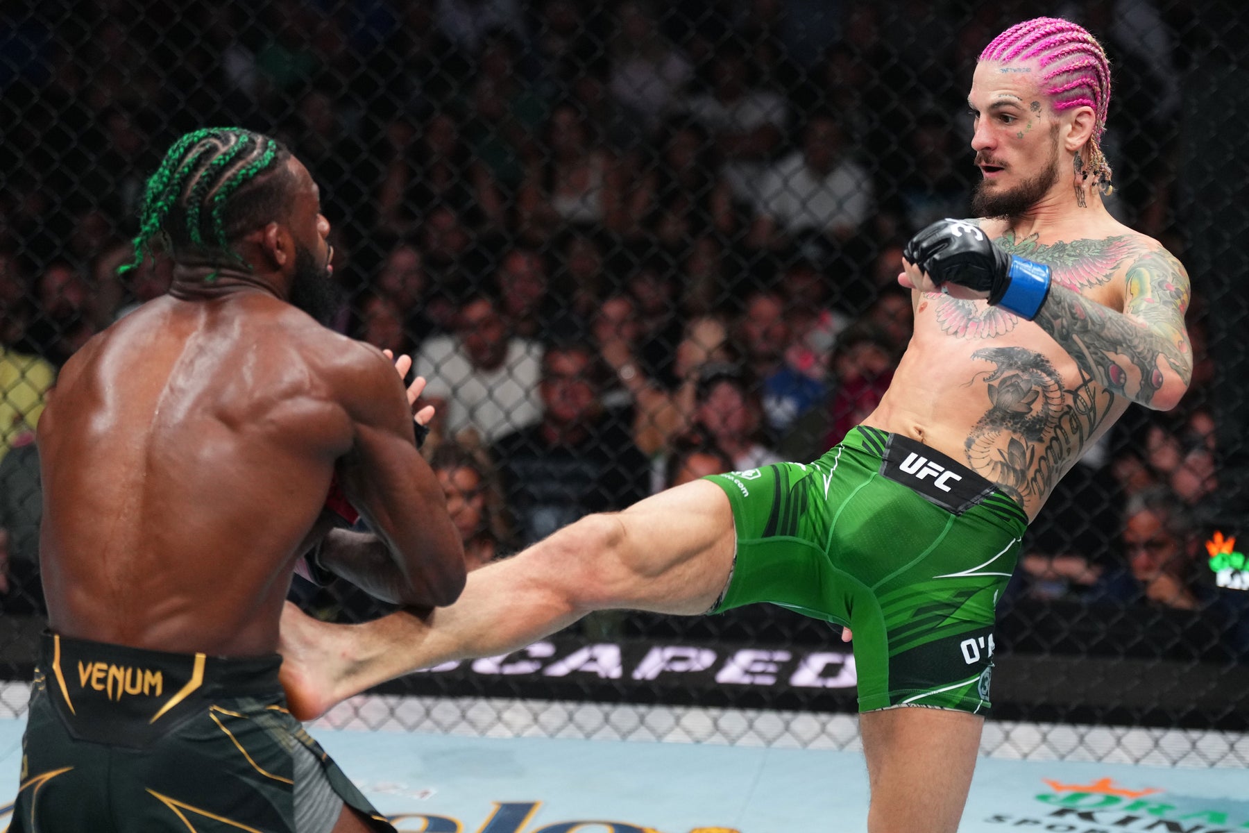 UFC Fight Worn Shorts | Official UFC Fighter Shorts | UFC Collectibles