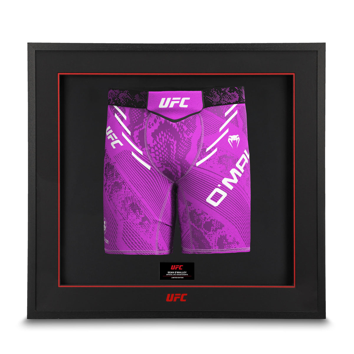 Official UFC Fight Worn Shorts | UFC Gifts | UFC Collectibles