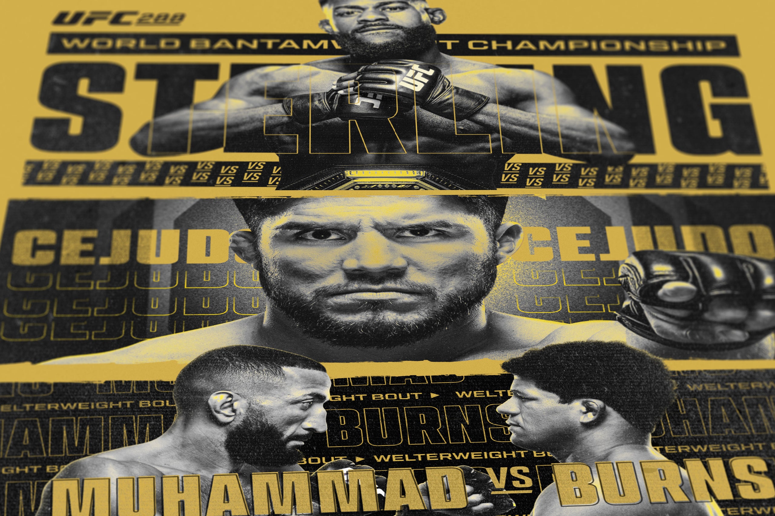 Sale Signed Memorabilia | UFC Collectibles