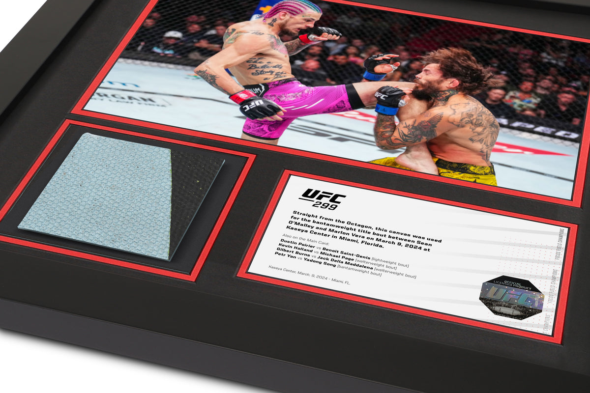 UFC 299 Memorabilia | UFC 299 Official Poster & Fight Worn Gear | UFC ...