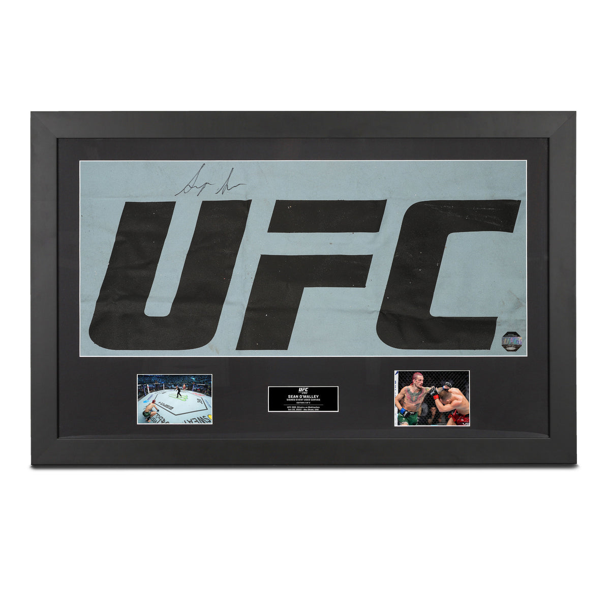 UFC Logo Canvas & Photo